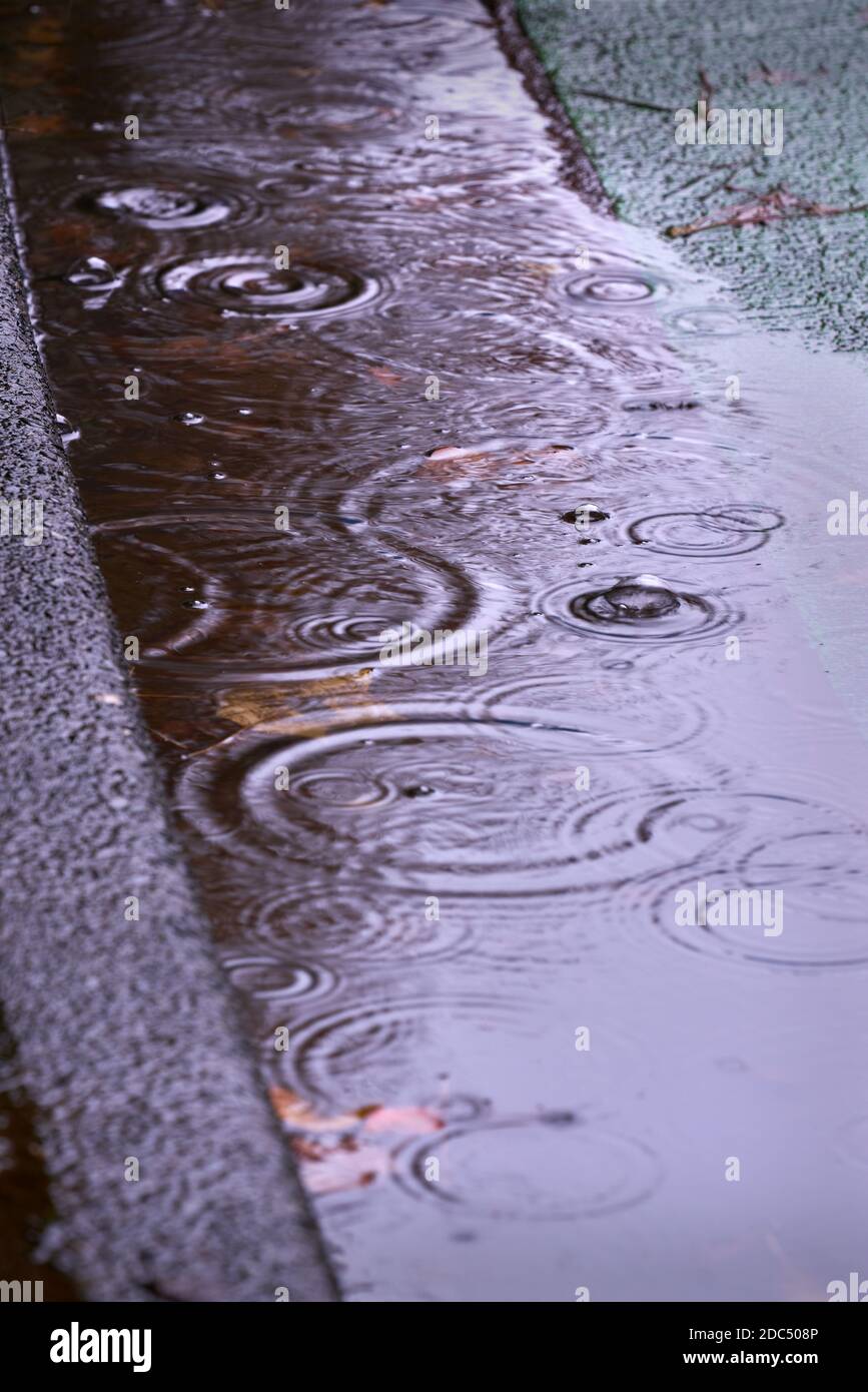 Puddle of rainwater on pavement hi-res stock photography and images - Alamy