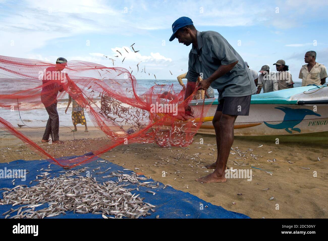 Sorting nets hi-res stock photography and images - Alamy