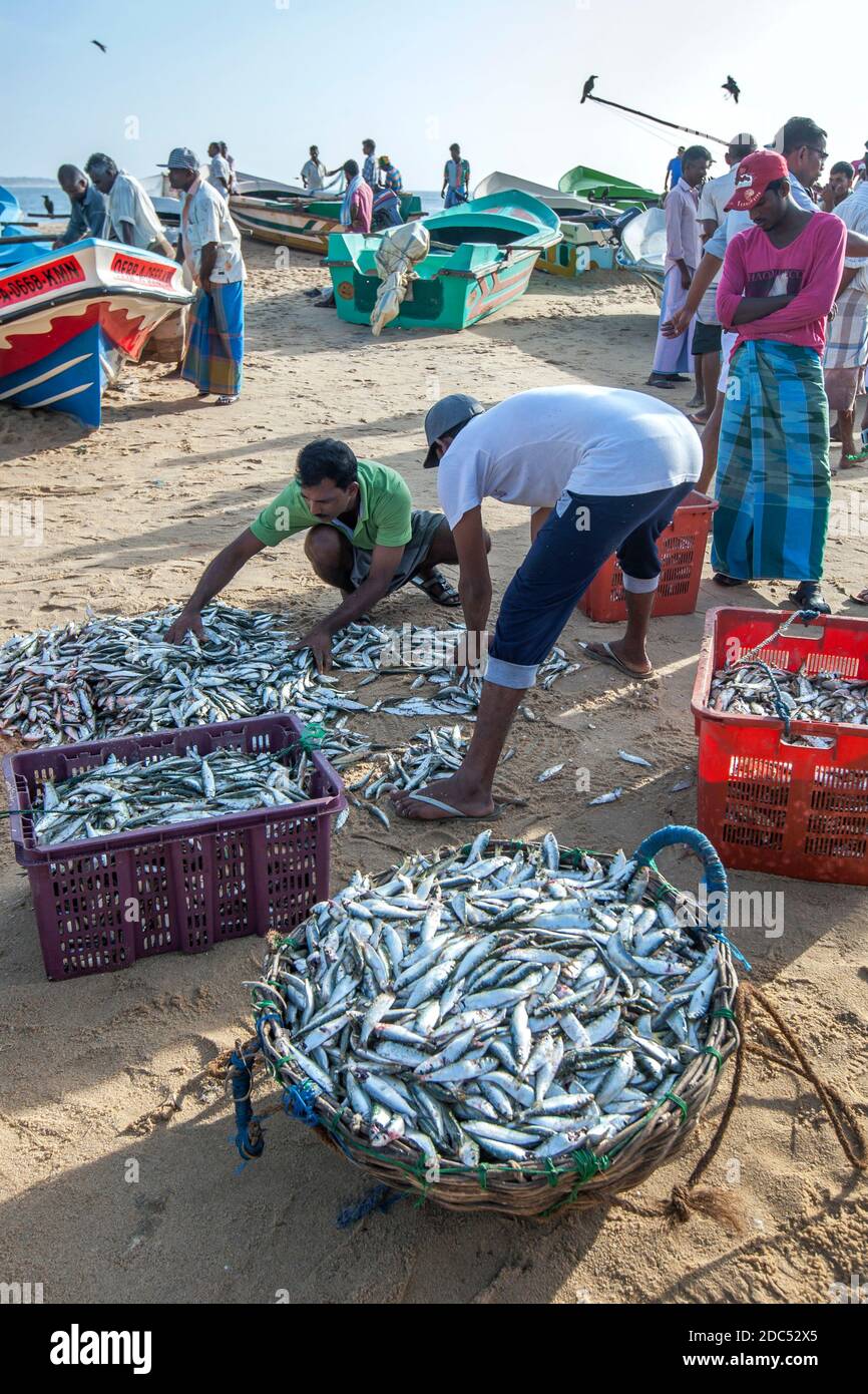 Fishermen fish baskets hi-res stock photography and images - Alamy