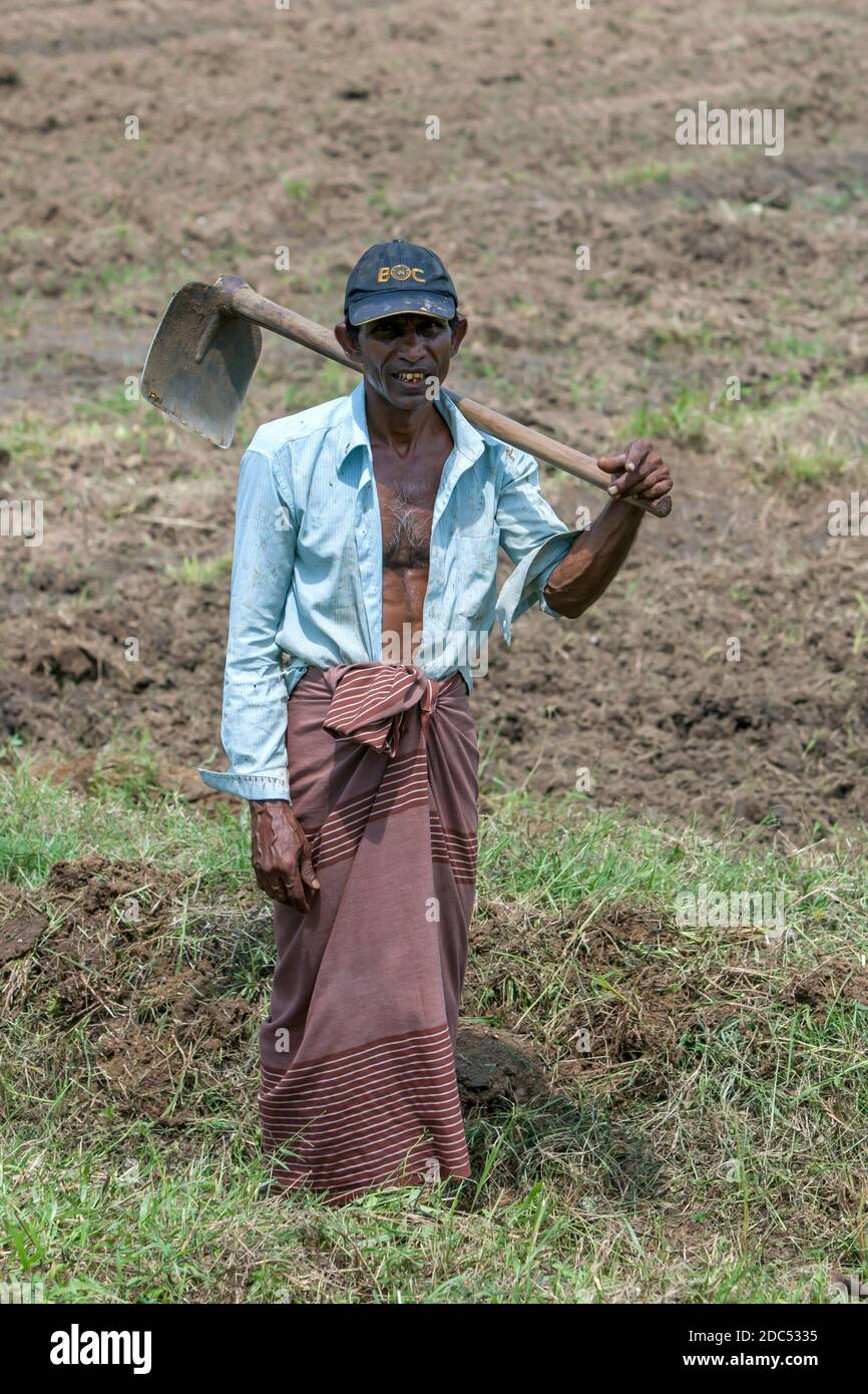 A man holding a hoe working in the rice fields on the roadside near ...