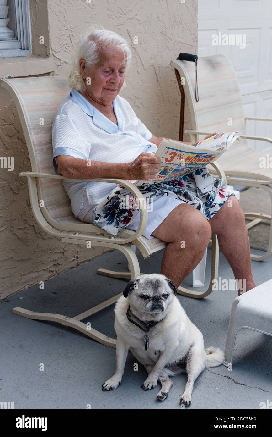 Senior citizen and pug dog reading the paper Stock Photo - Alamy