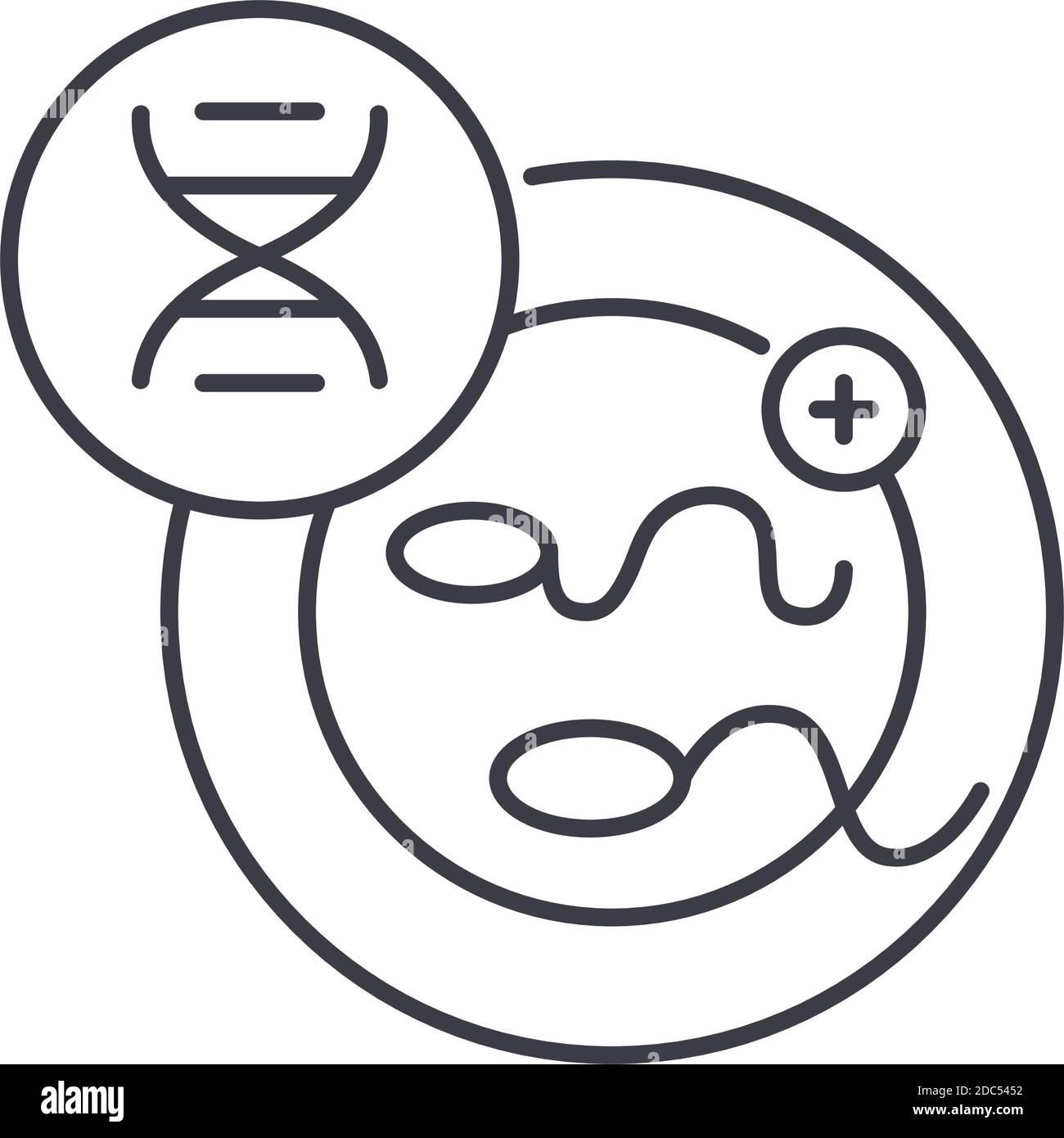 Reproduction process icon, linear isolated illustration, thin line ...