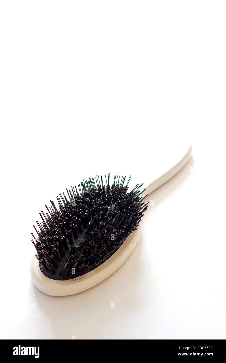 A studio photo ofa hair brush Stock Photo - Alamy