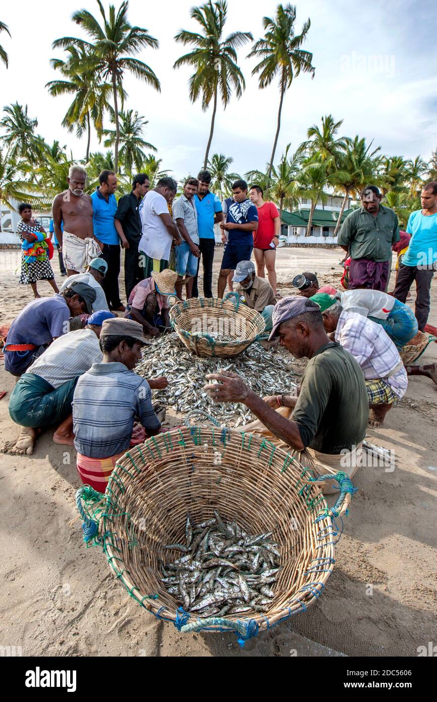 Seine for fish hi-res stock photography and images - Alamy