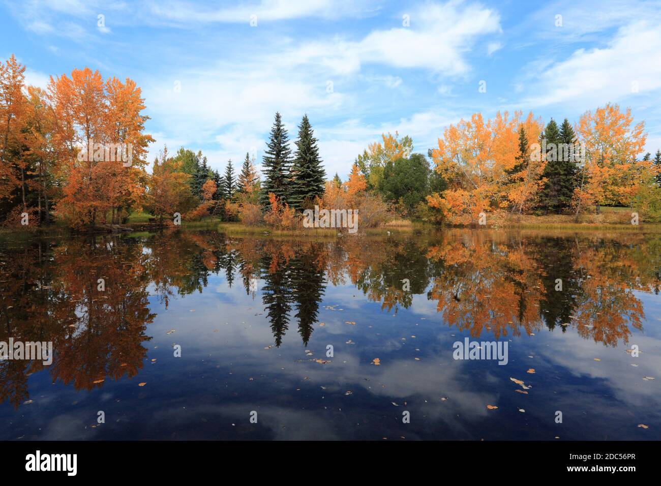 Calgary pond hi-res stock photography and images - Alamy
