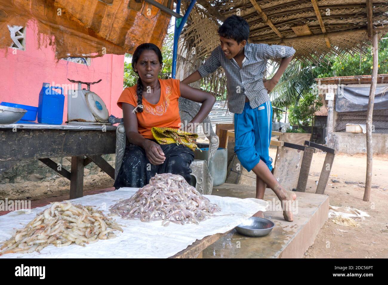 A lady and a boy selling fresh prawns in a beach side stall at Negombo ...
