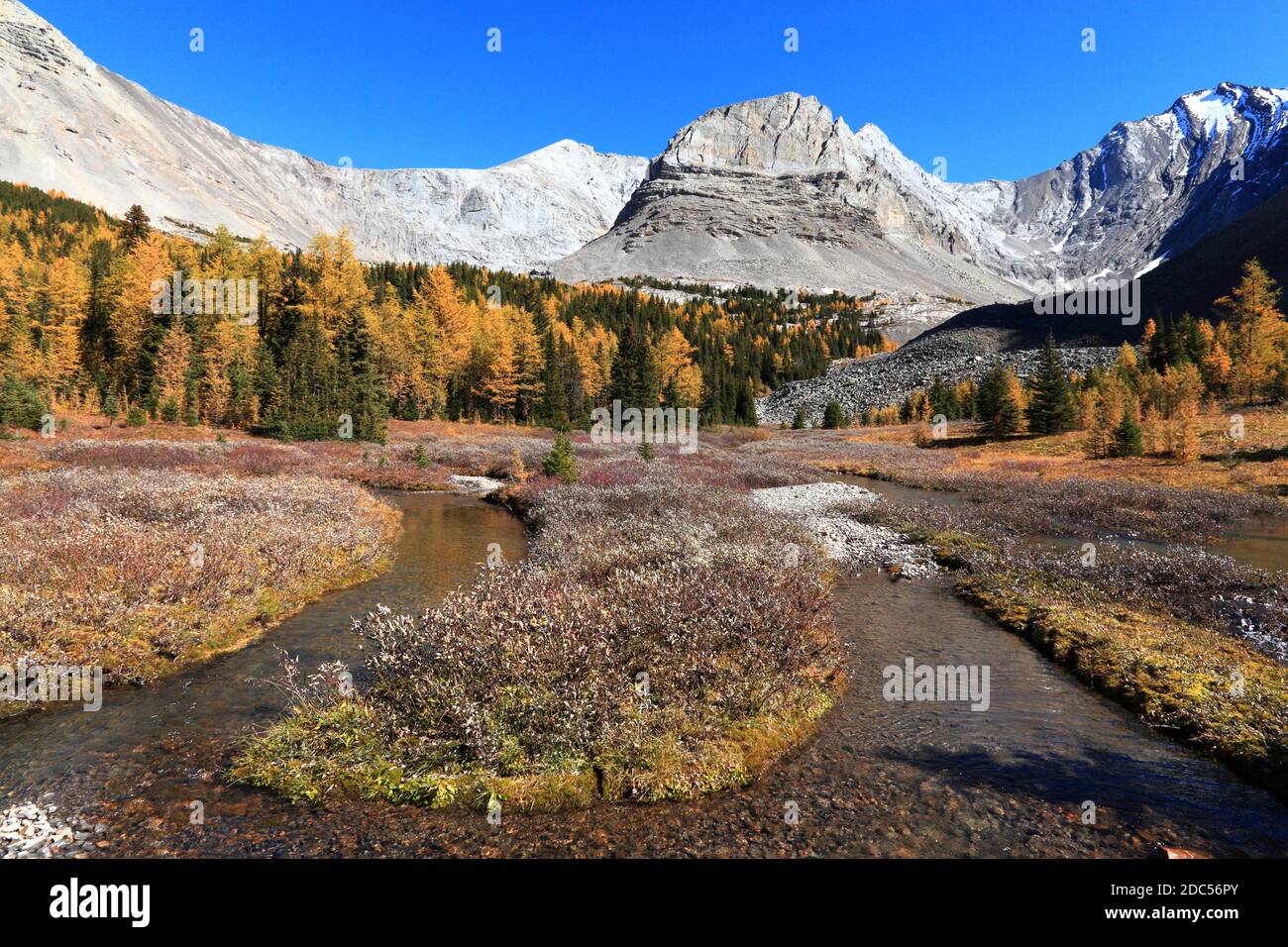 Reflections seasonal change hi-res stock photography and images - Alamy
