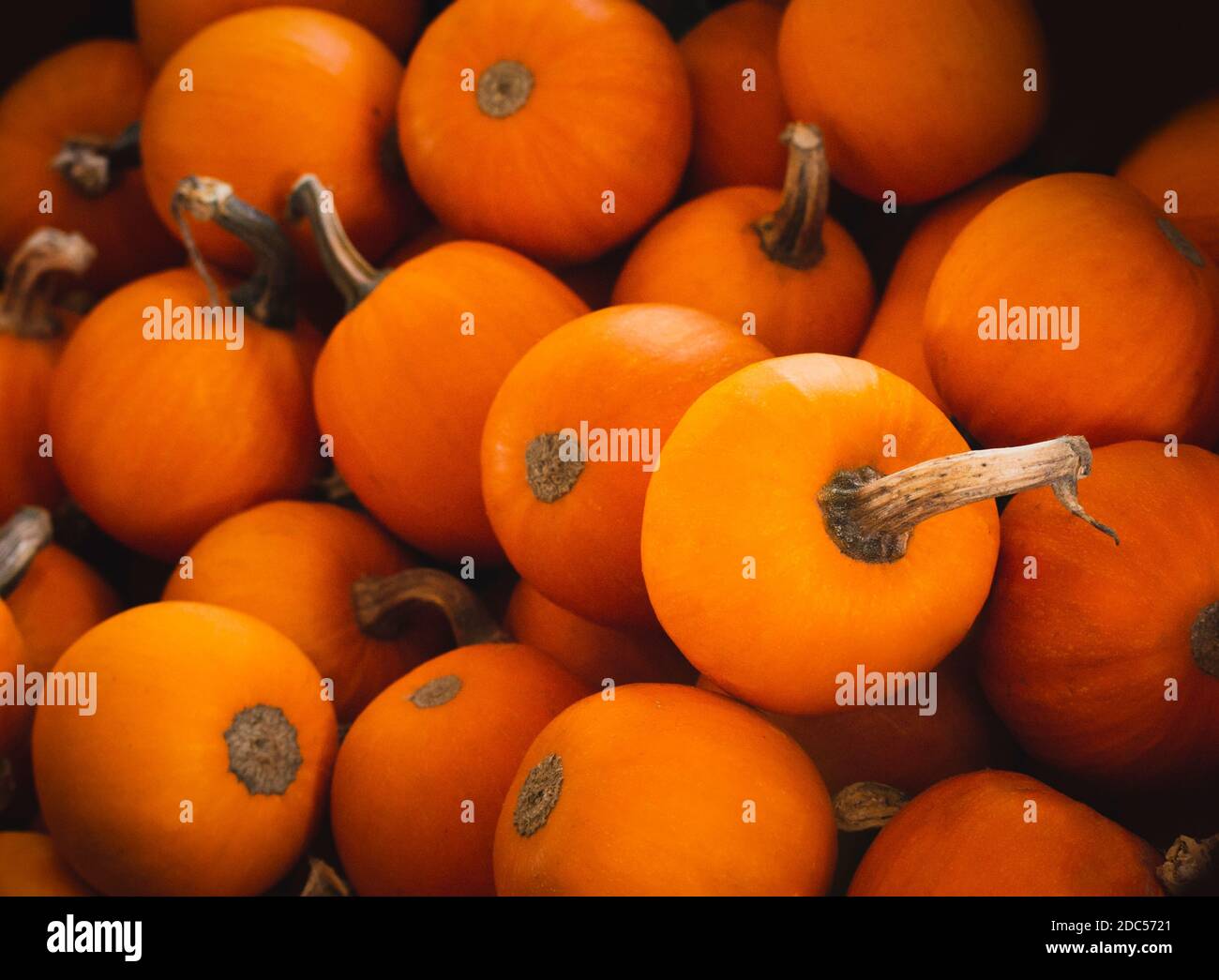 Mini lantern hi-res stock photography and images - Alamy