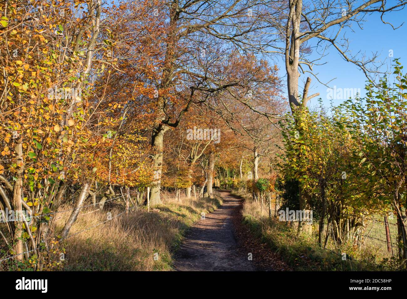 English rural landscape in chiltern hi-res stock photography and images ...