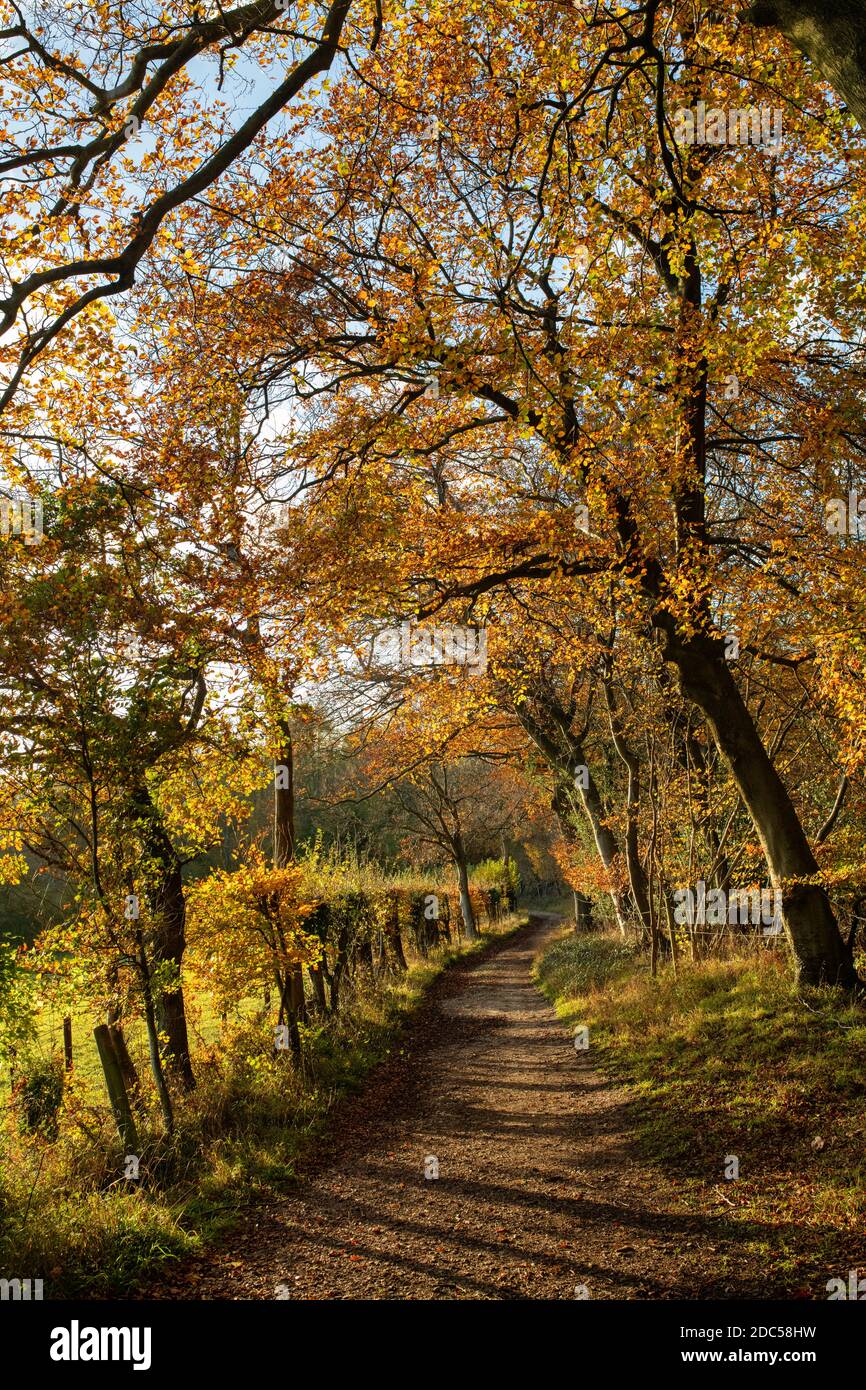 English rural landscape in chiltern hi-res stock photography and images ...