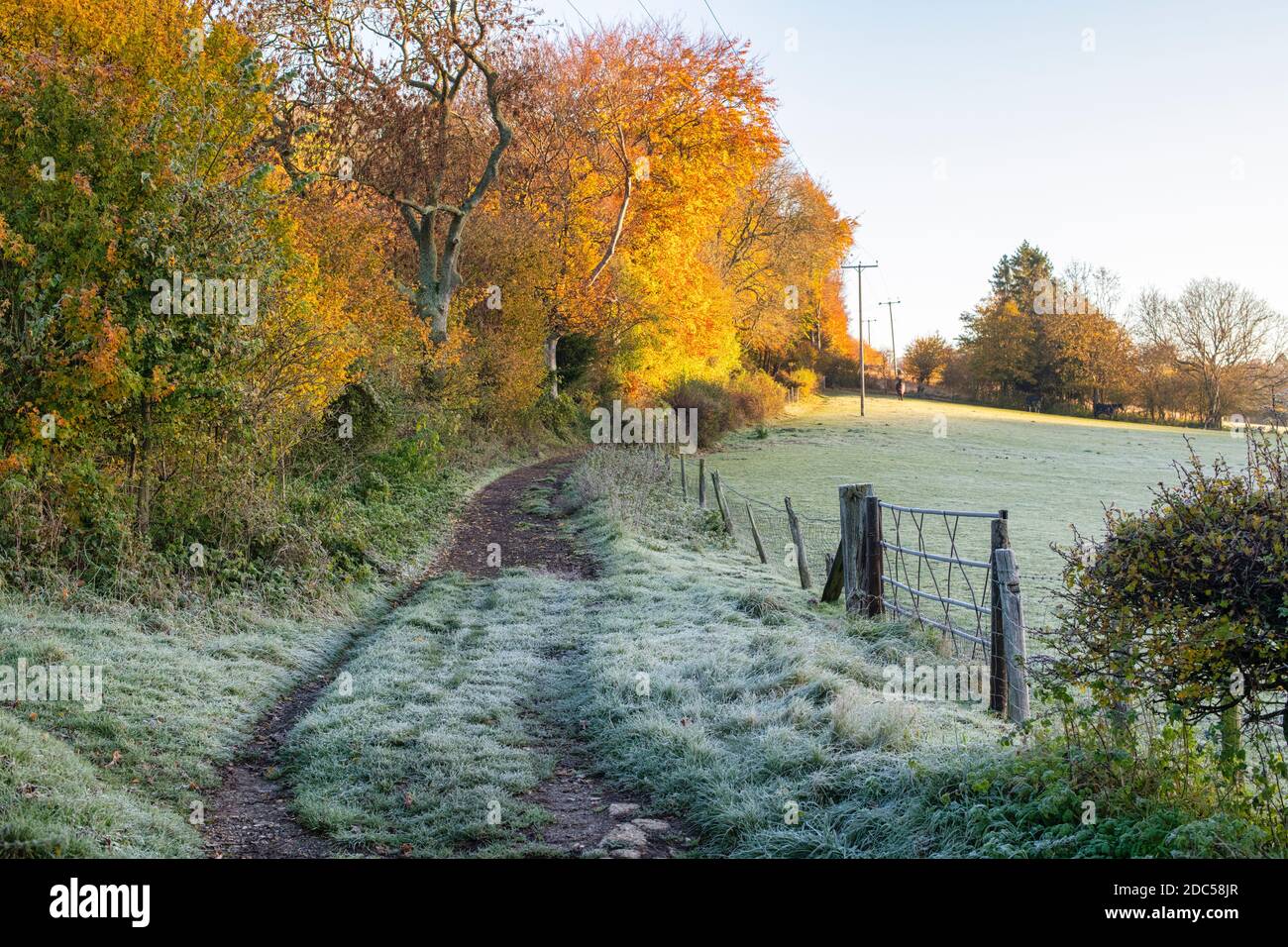Buckinghamshire countryside hi-res stock photography and images - Alamy