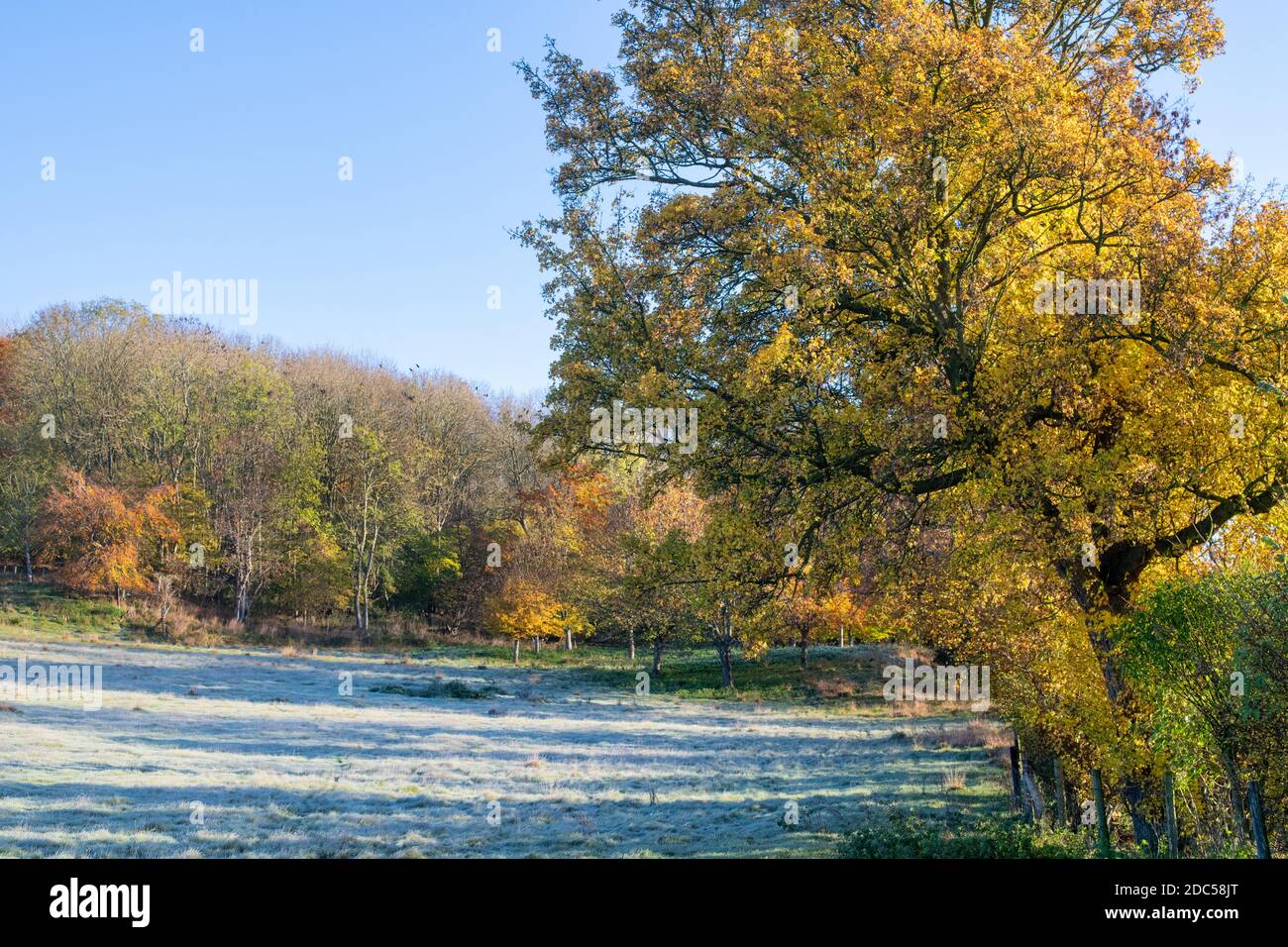 Buckinghamshire countryside hi-res stock photography and images - Alamy