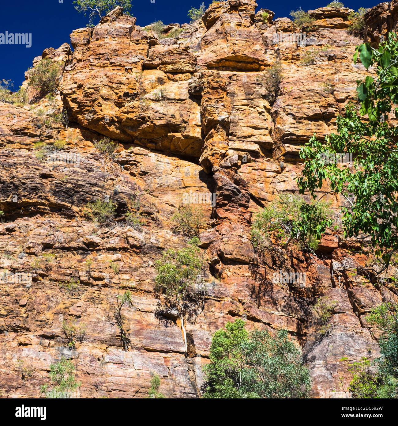 Weathered orange sandstone cliff, Upper Gorge, Lawn Hill, Boodjamulla ...