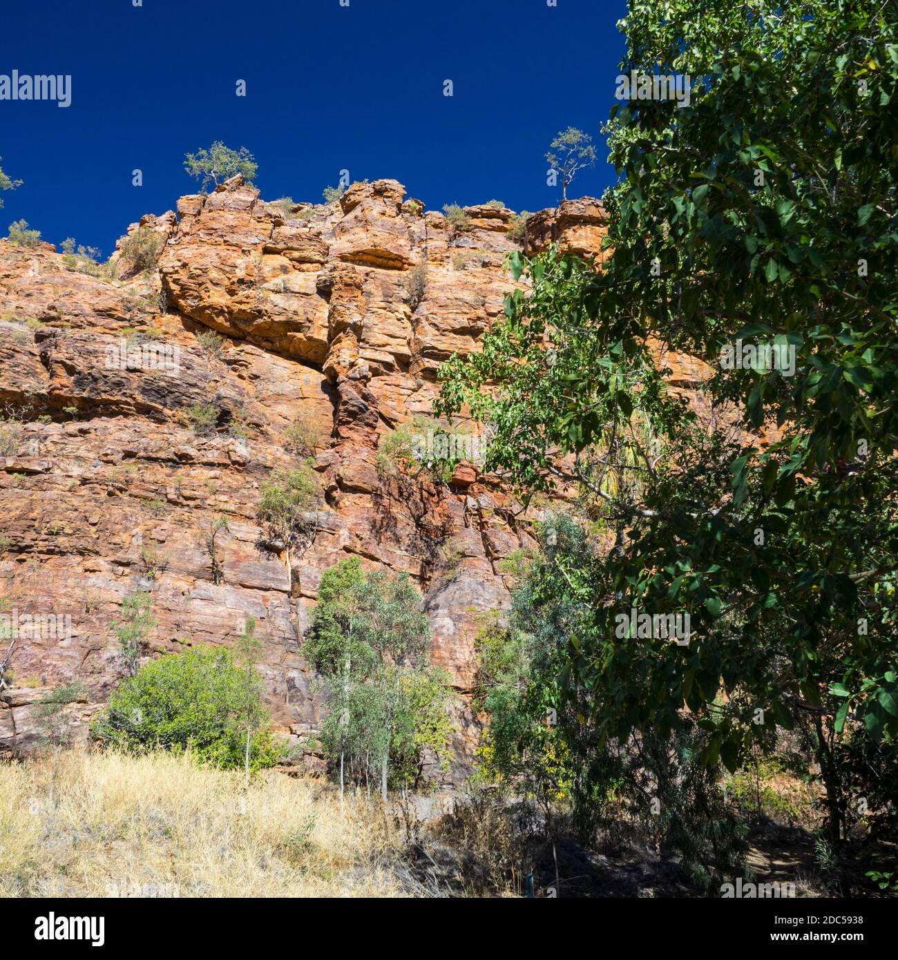 Weathered orange sandstone cliff, Upper Gorge, Lawn Hill, Boodjamulla ...