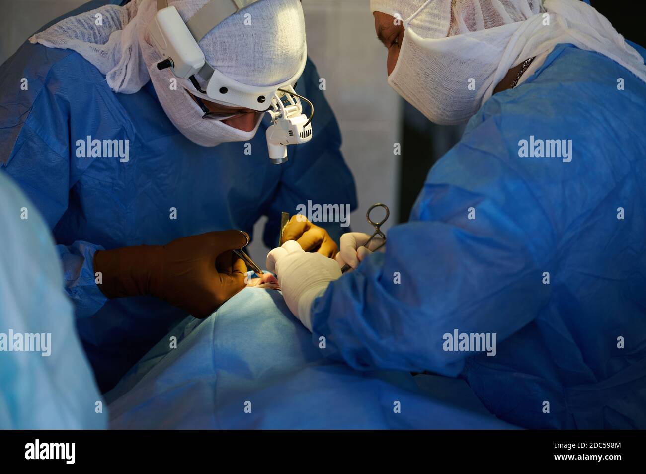 Doctor plastic surgeon holds hi-res stock photography and images - Alamy