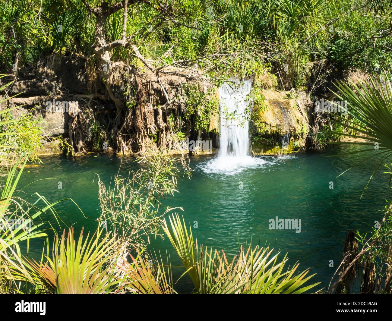 Indarri Falls, Lawn Hill, Boodjamulla National Park Stock Photo - Alamy