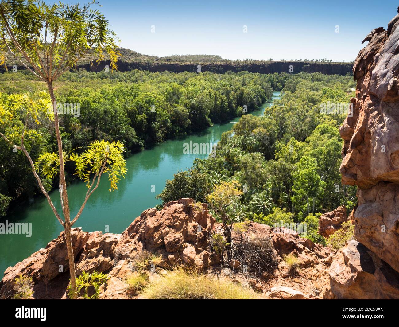 Lawn Hill Gorge from Duwadarri Lookout, Boodjamulla National Park Stock ...