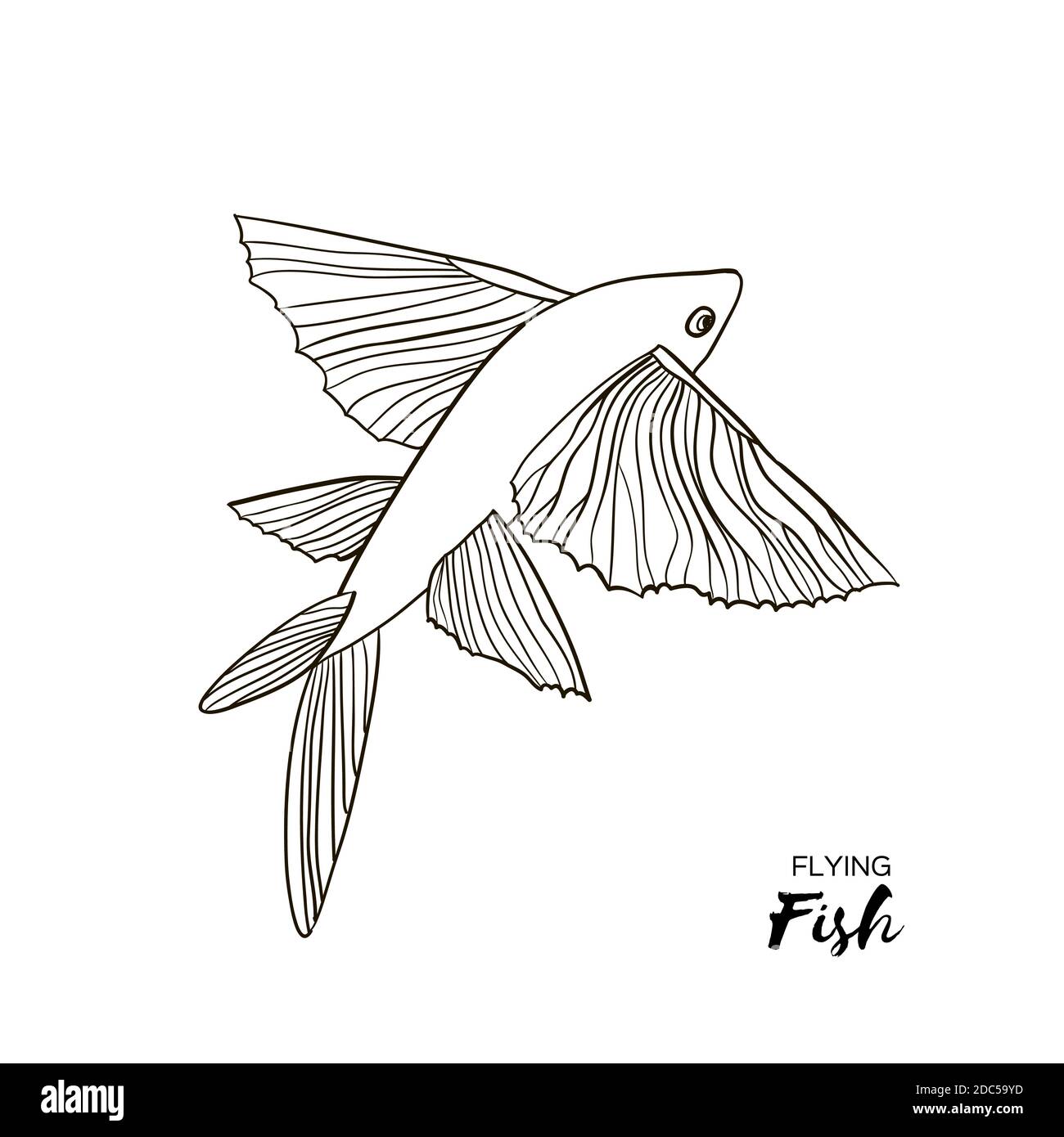 Aquatic craft Stock Vector Images - Alamy