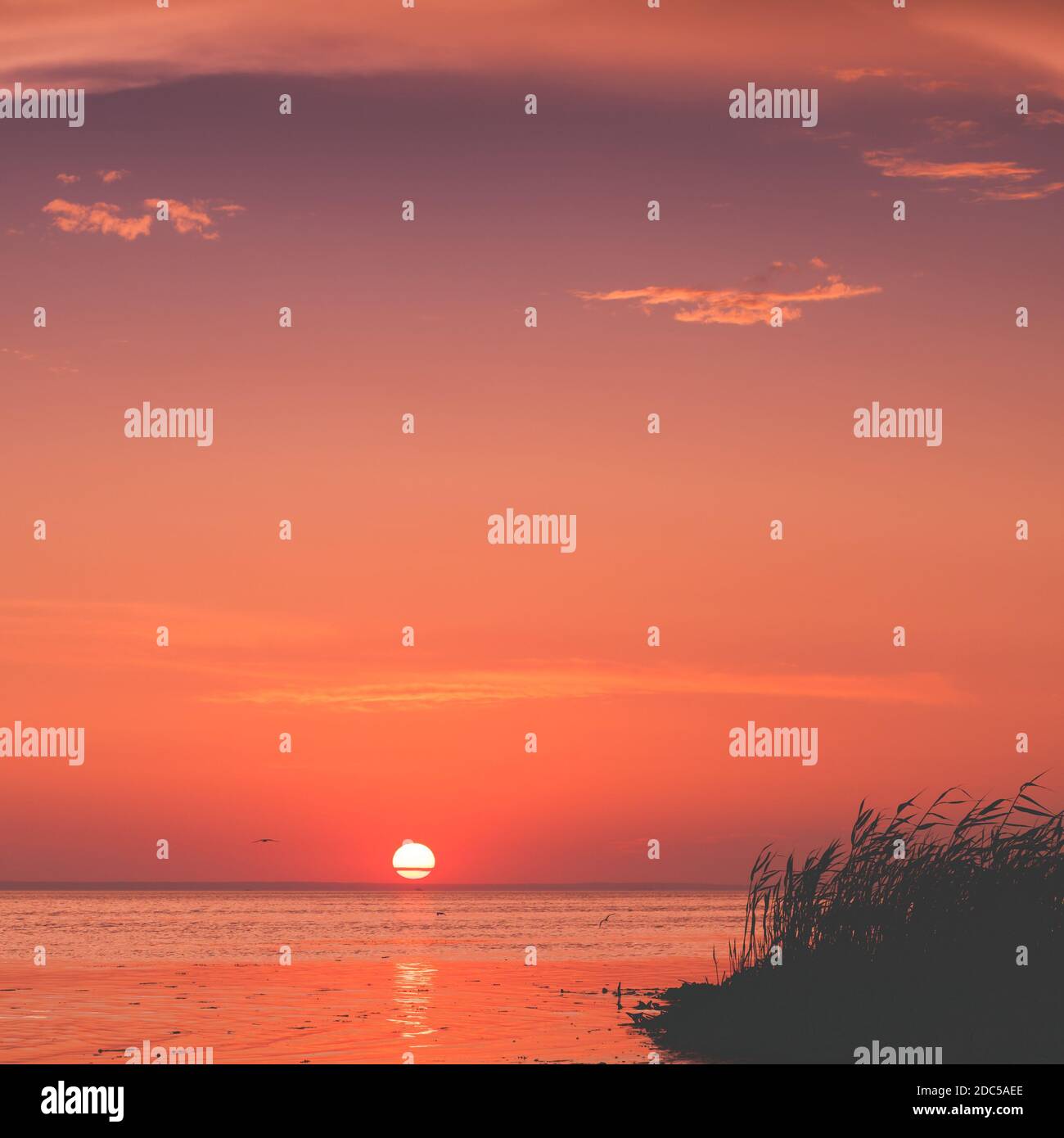 Colorful sunset over Gulf of Finland, summer evening square photo with ...