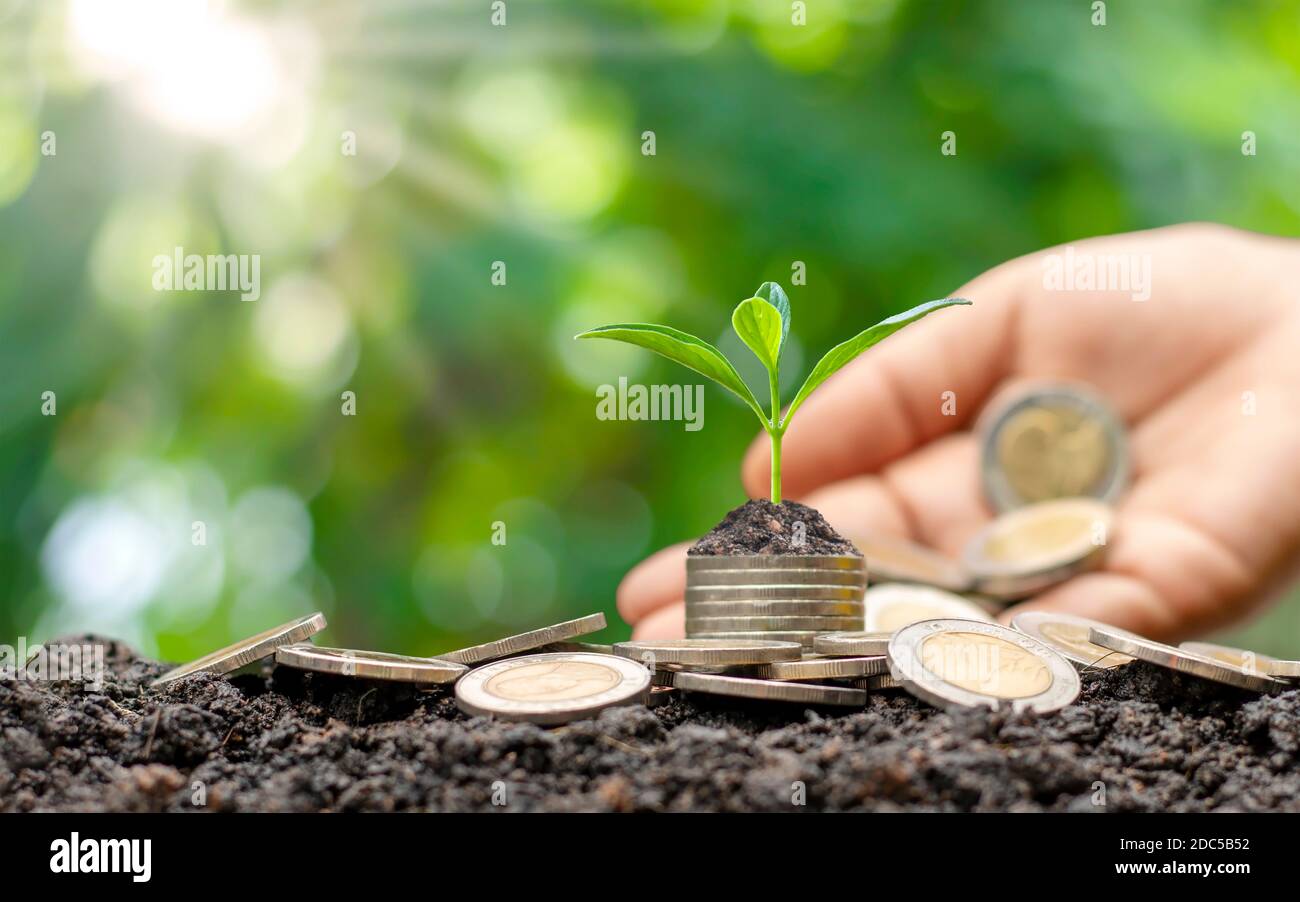 Trees grow on money stacks in an environment with this money-saving and ...