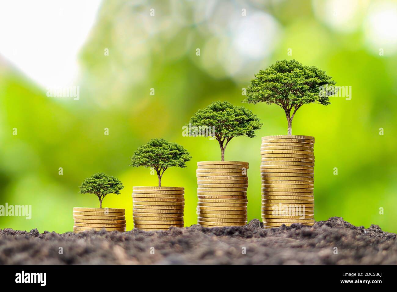 Coin pile with growing tree on top of coin, financial business success ...