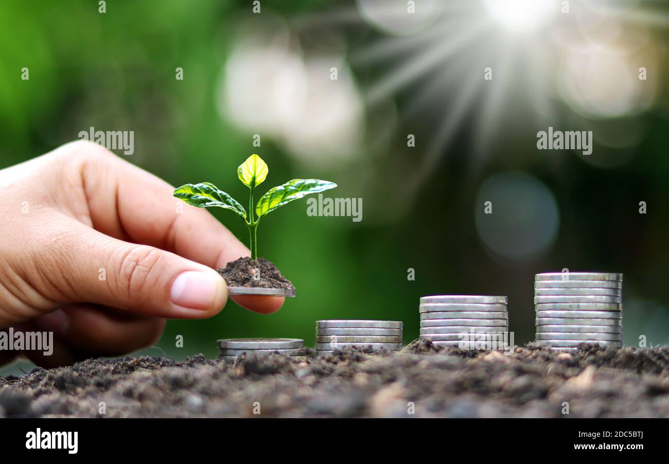 Growth graph trees hi-res stock photography and images - Alamy