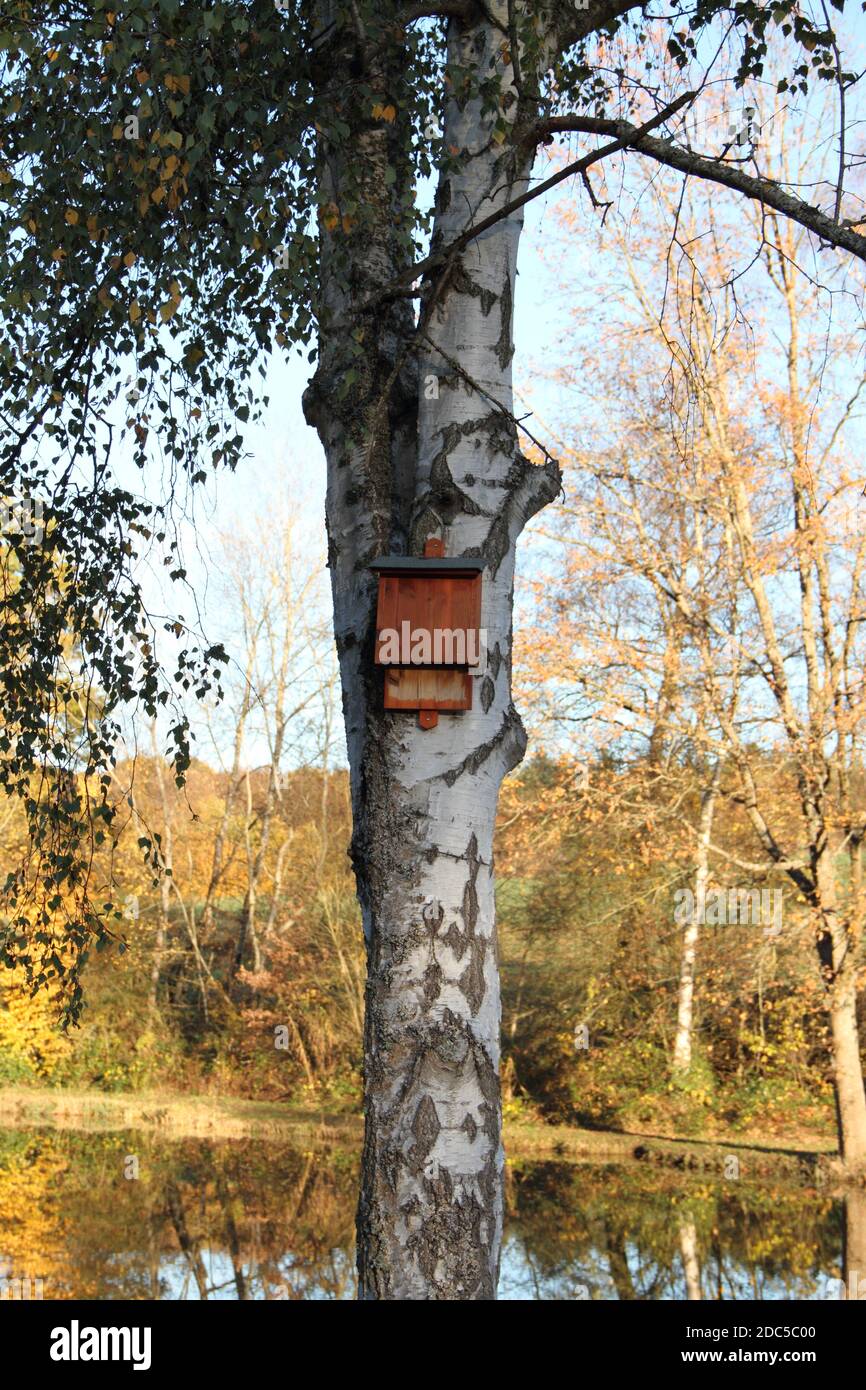 Bat box garden hi-res stock photography and images - Alamy