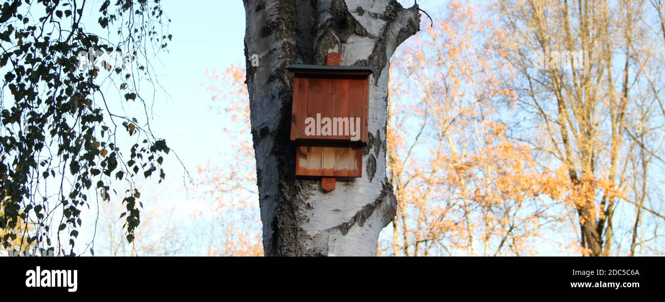 a bat nest box on the tree Stock Photo - Alamy
