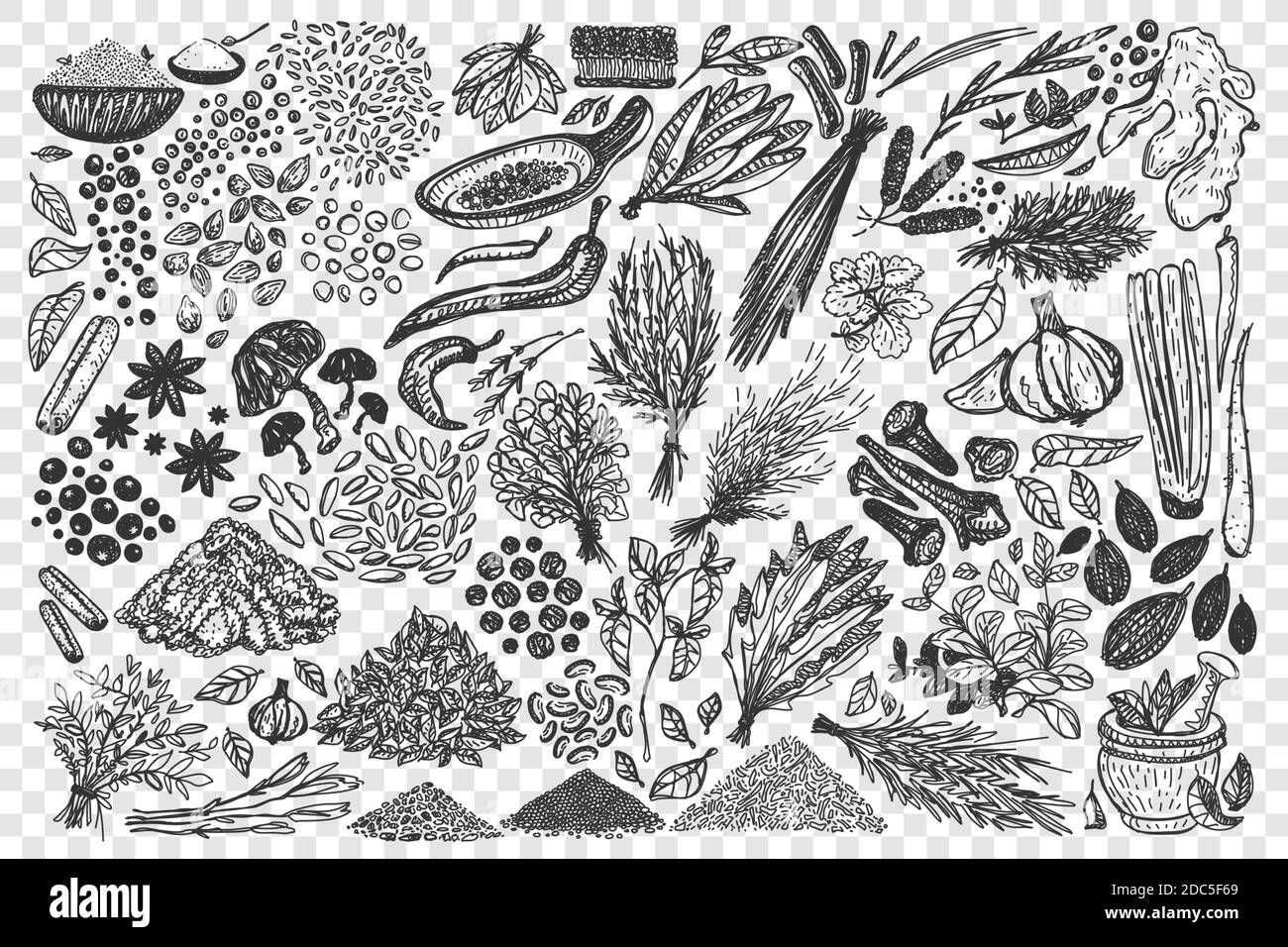 Spices doodle set. Collection of hand drawn different condiments herbs ...