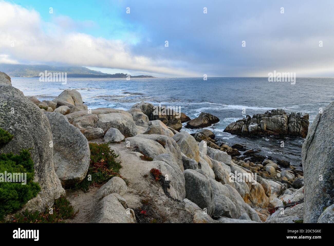 Landscape of Pescadero Point with ghost trees along 17 Mile Drive in ...