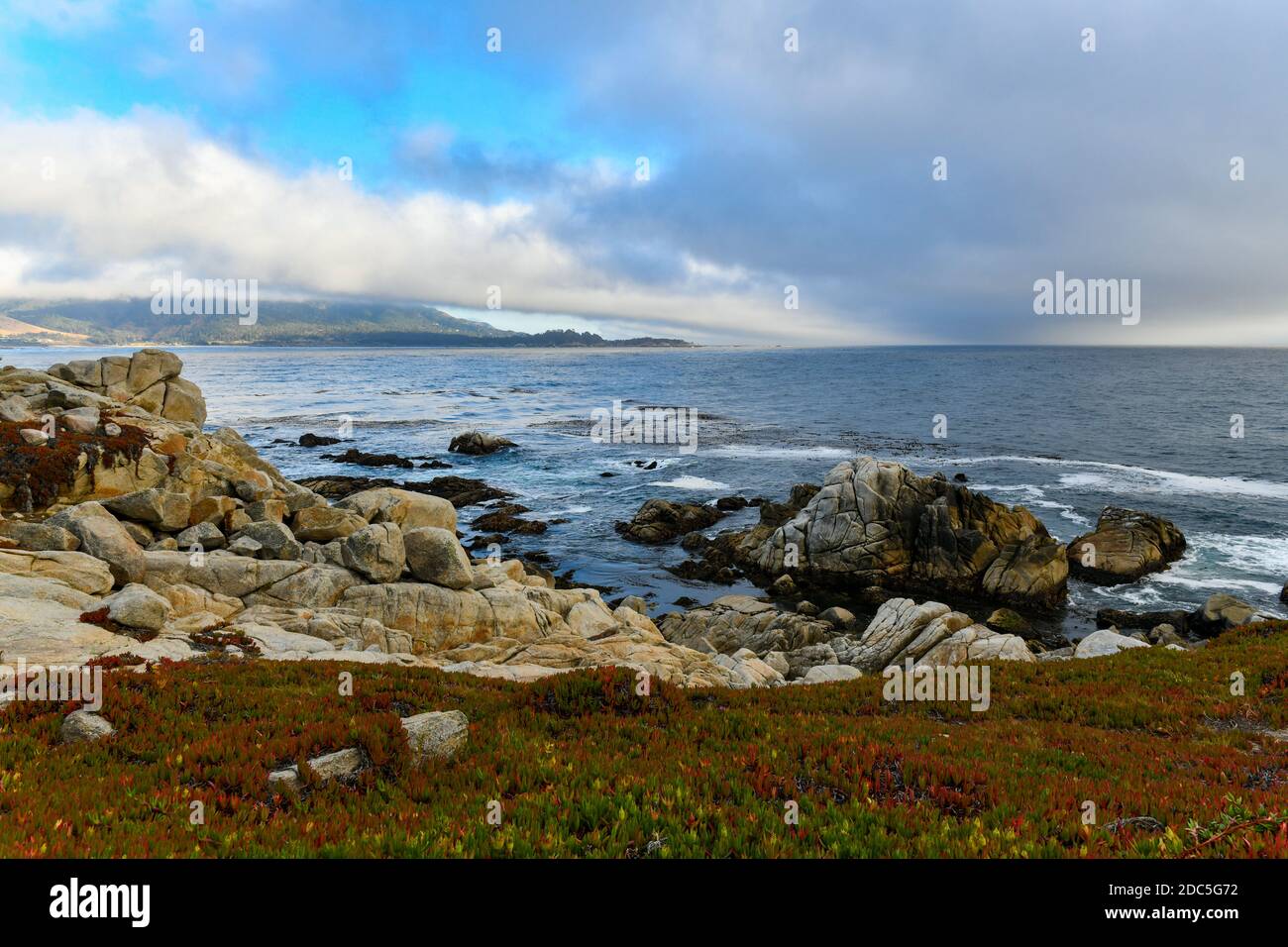 Ghost trees pebble beach hi-res stock photography and images - Alamy