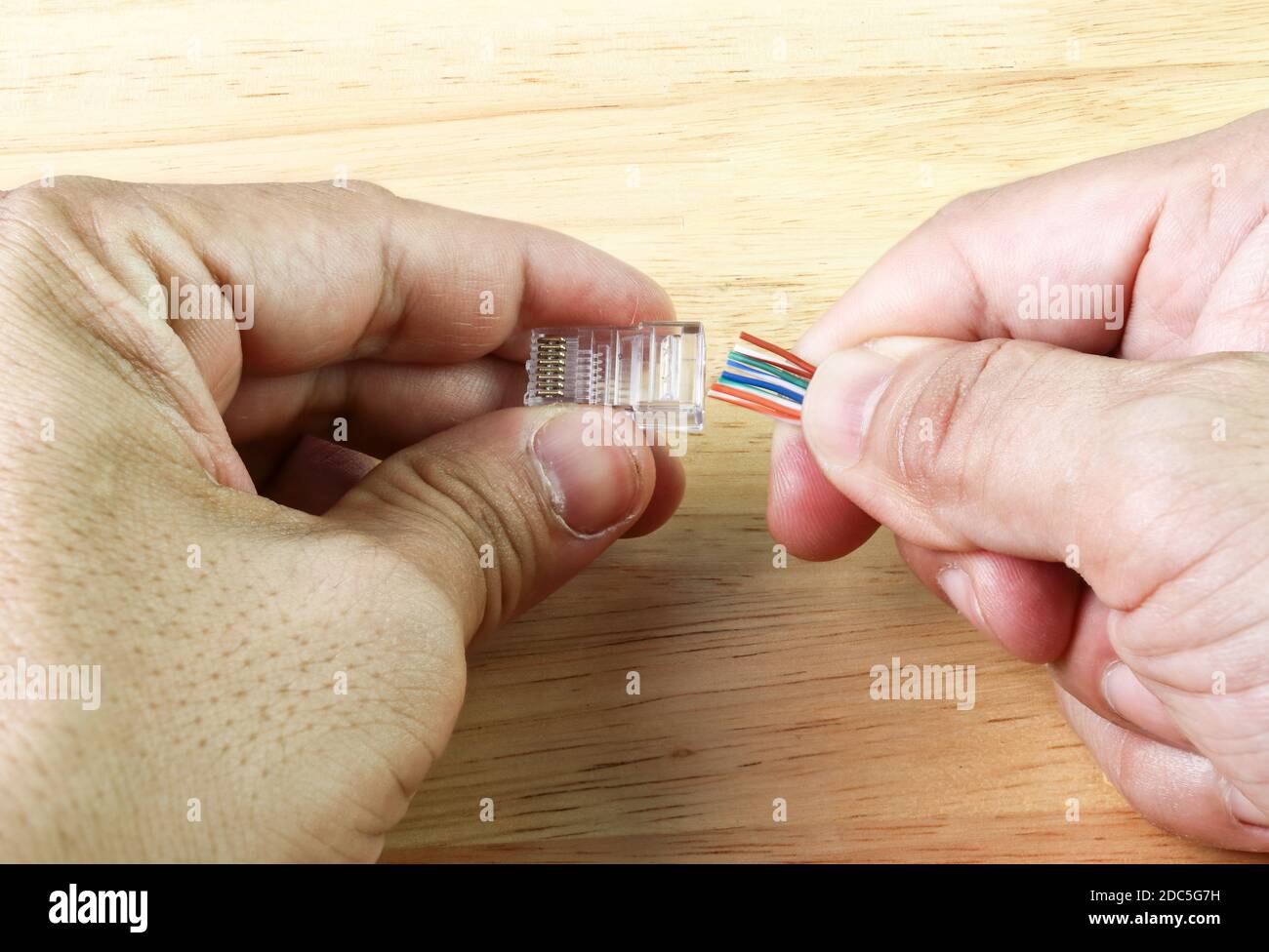 hand of man hold RJ45 with Cable for use Network internet cable ...