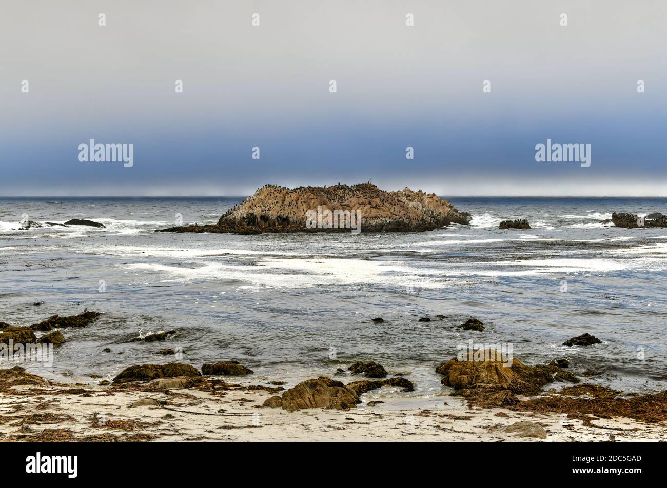 Bird Rock is one of the most popular stops along the 17-Mile Drive ...