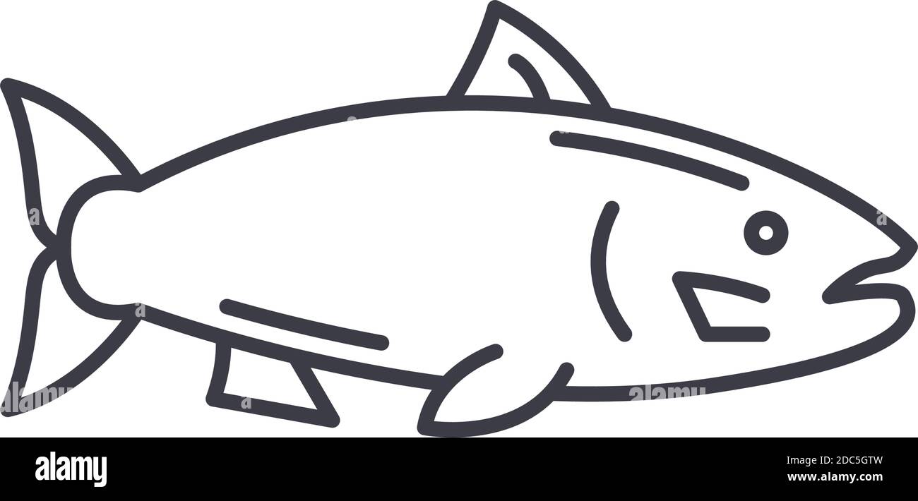 Salmon fish icon, linear isolated illustration, thin line vector, web ...