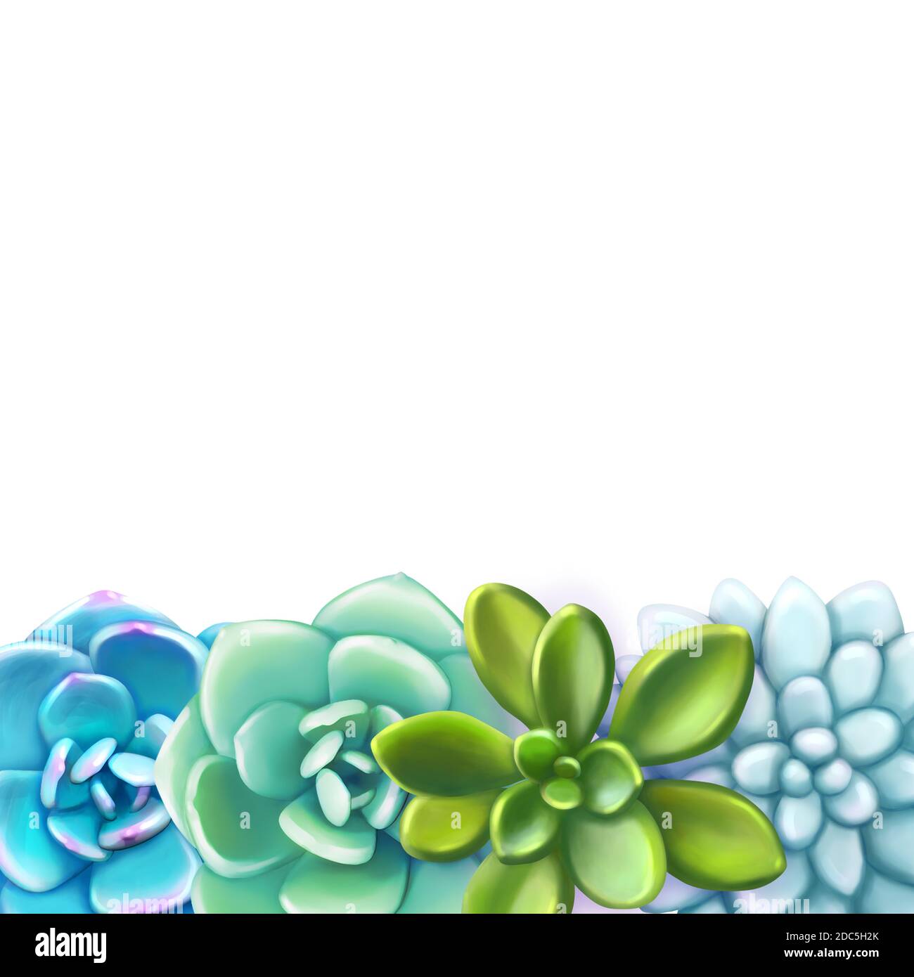 Floral Border. Succulents arranged un a shape of frame Stock Photo - Alamy