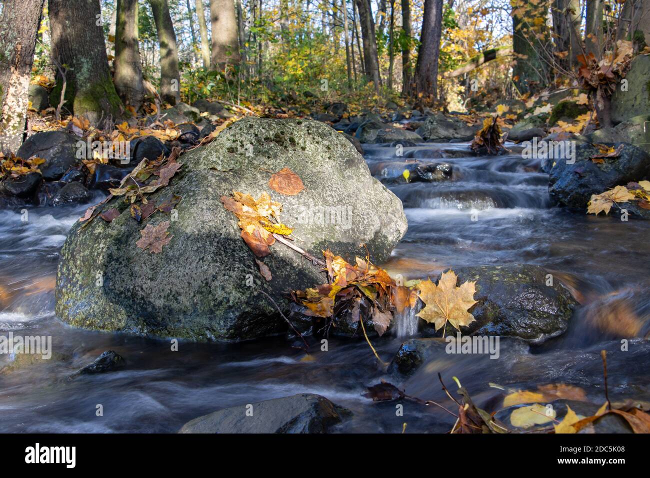 Water flows around the boulder in the autumn river. A water cascade in ...