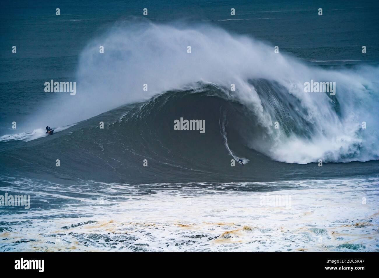 RELEASE DATE: 2020 TITLE: Life of Kai STUDIO: Red Bull DIRECTOR: Red ...