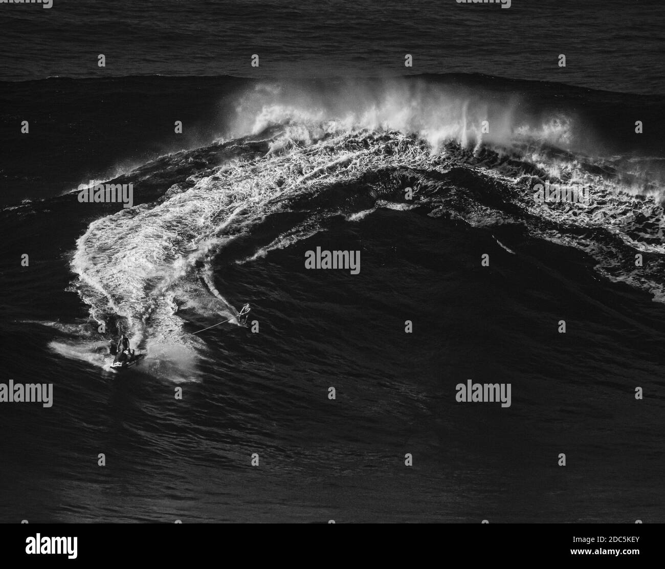 RELEASE DATE: 2020 TITLE: Life of Kai STUDIO: Red Bull DIRECTOR: Red ...