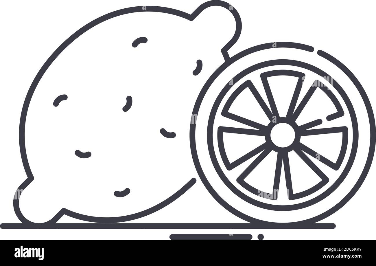 Lemon sliced icon, linear isolated illustration, thin line vector, web ...