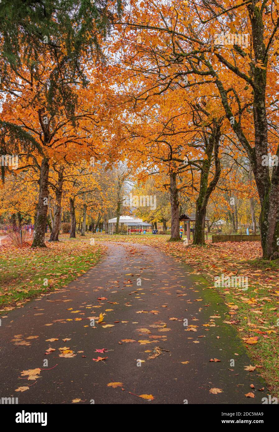 Stormy weather in a public park a colorful landscape Oregon Stock Photo ...