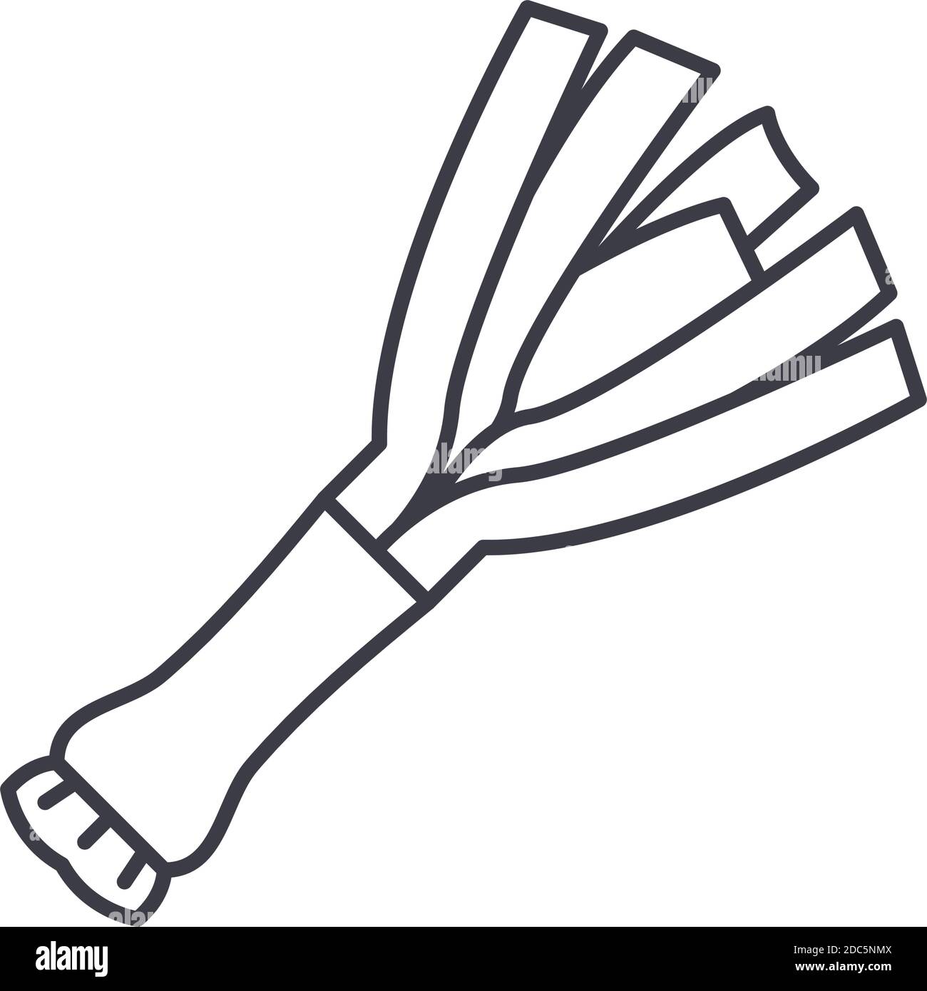 Leek plant icon, linear isolated illustration, thin line vector, web ... Leek plant icon, linear isolated illustration, thin line vector, web ...