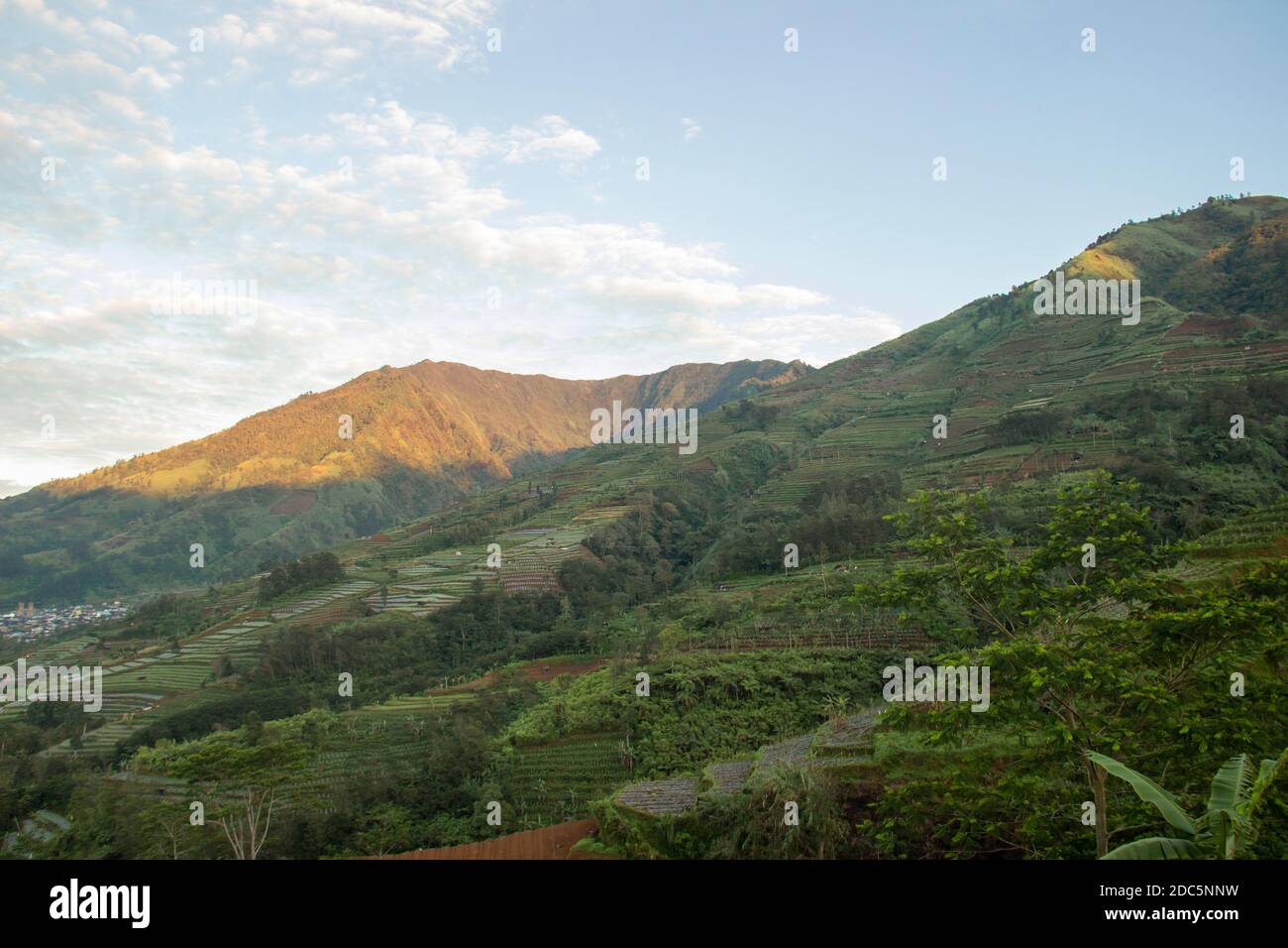 the fresh view of the morning at the top of the mountain during the ...