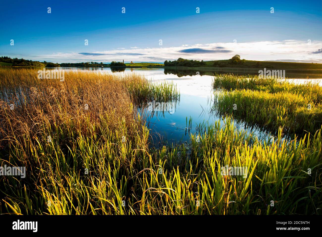 Devenish island monastic site hi-res stock photography and images - Alamy