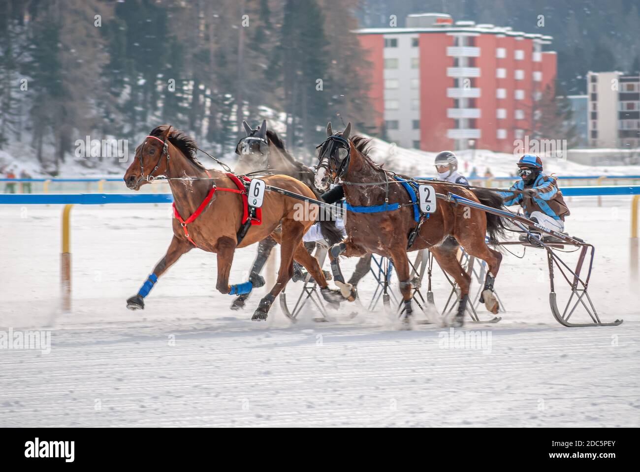 Race white hi-res stock photography and images - Alamy
