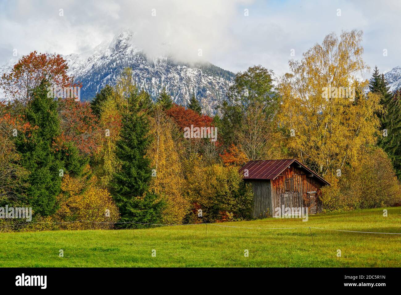 A landscape of wooden house surrounded by autumn trees in a greenfield ...