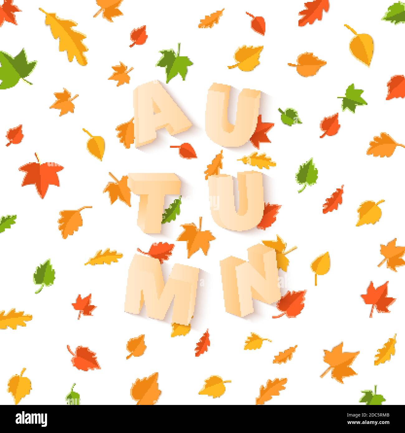 Word AUTUMN composition with green yellow red leaves on white ...