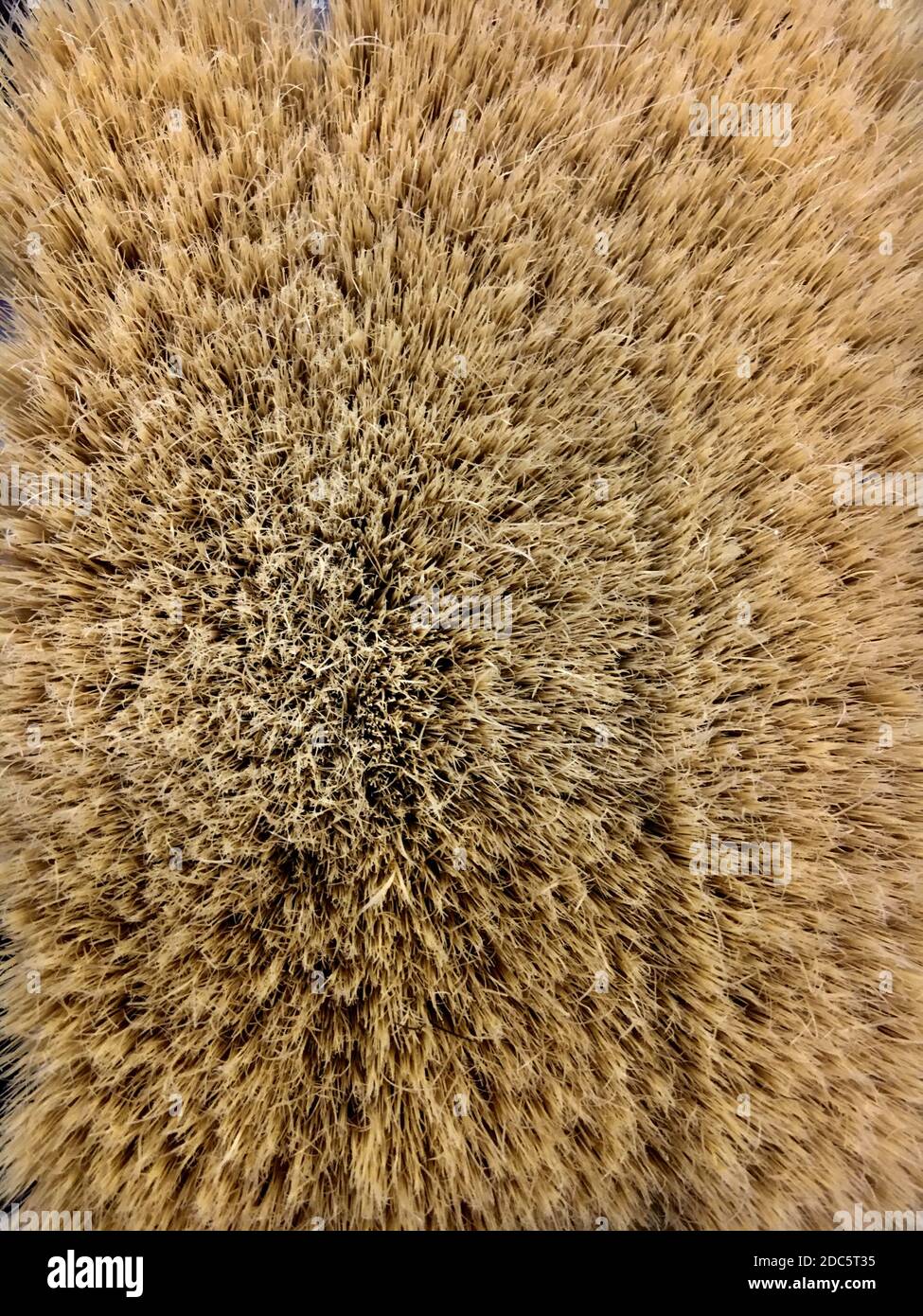 A vertical shot of a furry texture for wallpaper/background Stock Photo ...