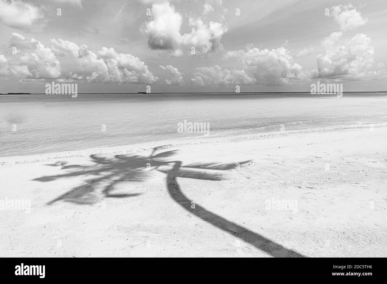 Lush fabric Black and White Stock Photos & Images - Alamy