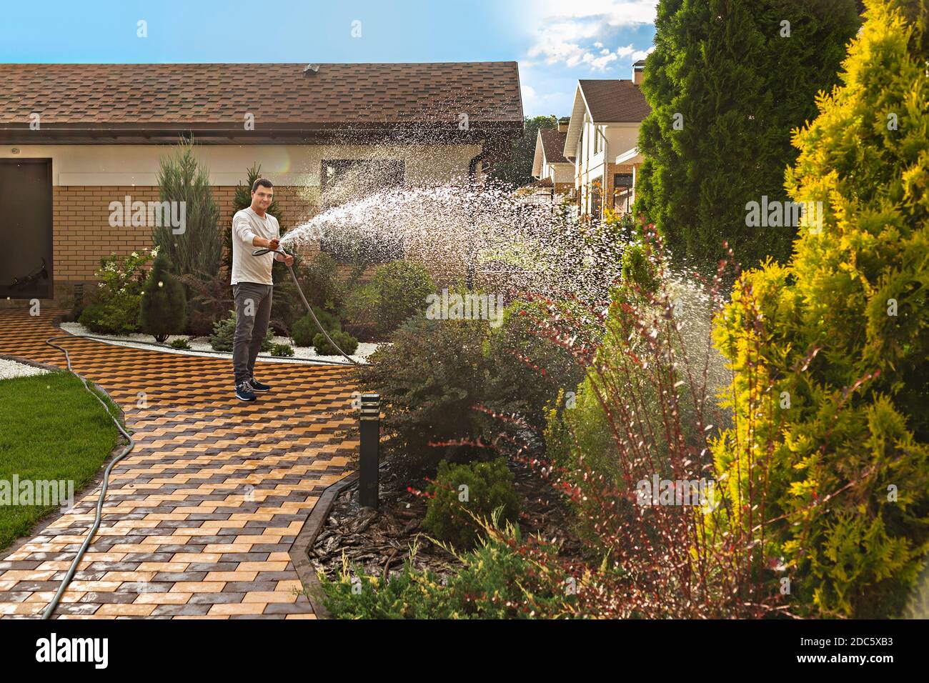 Man watering plants and trees with hose in sunny backyard garden Stock ...