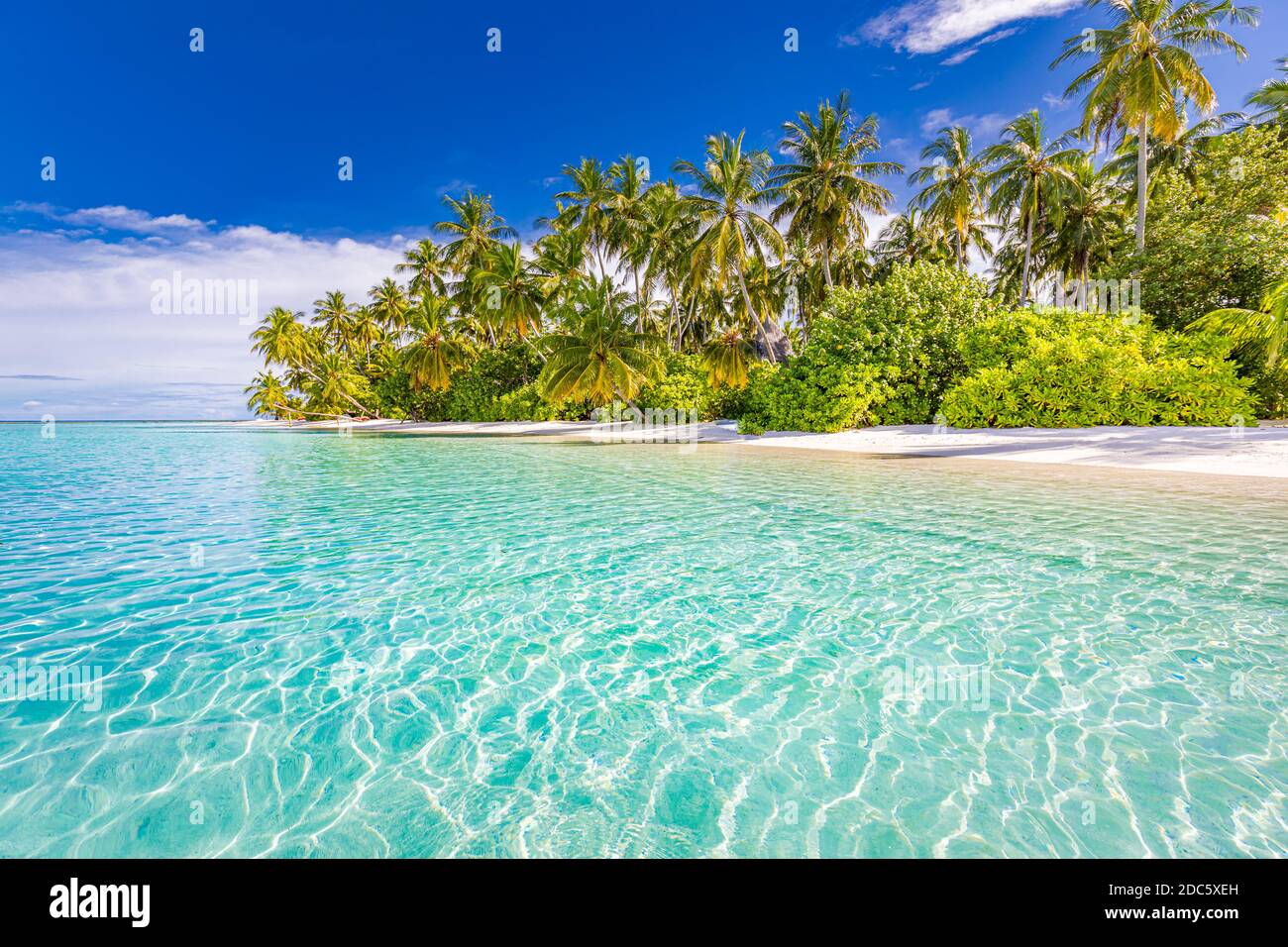 Sunny Tropical Beach Wallpaper Free Tropical Beach Serenity Image
